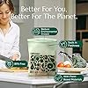 Amazon.com: Cleanomic Compostable* Gallon Size Food Storage Bags (25 ...