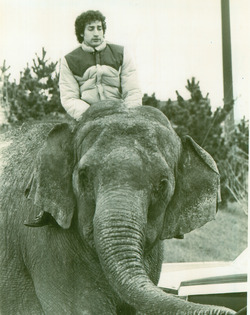 Amazon.com: Adam Pfeffer: books, biography, latest update