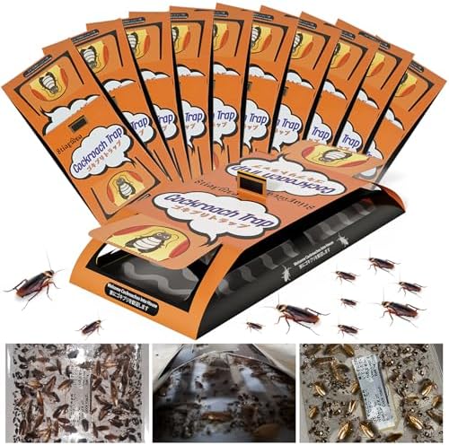 Amazon.com : HOY HOY Mice & Flies Glue Trap Paper - 50 Traps [1 Pack ...
