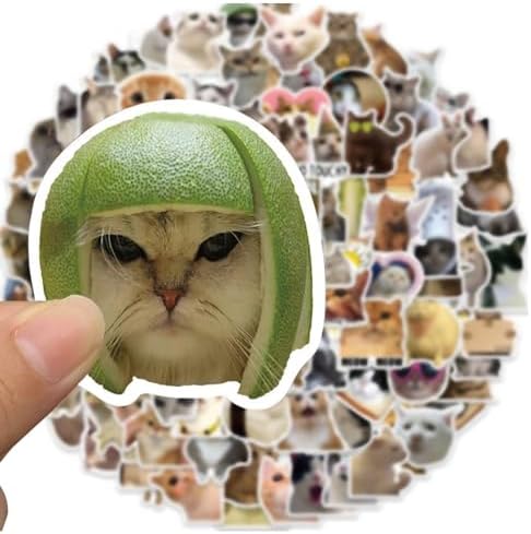 Amazon.com: 200 Pcs Funny Cat Meme Stickers - Cute Vinyl Waterproof ...