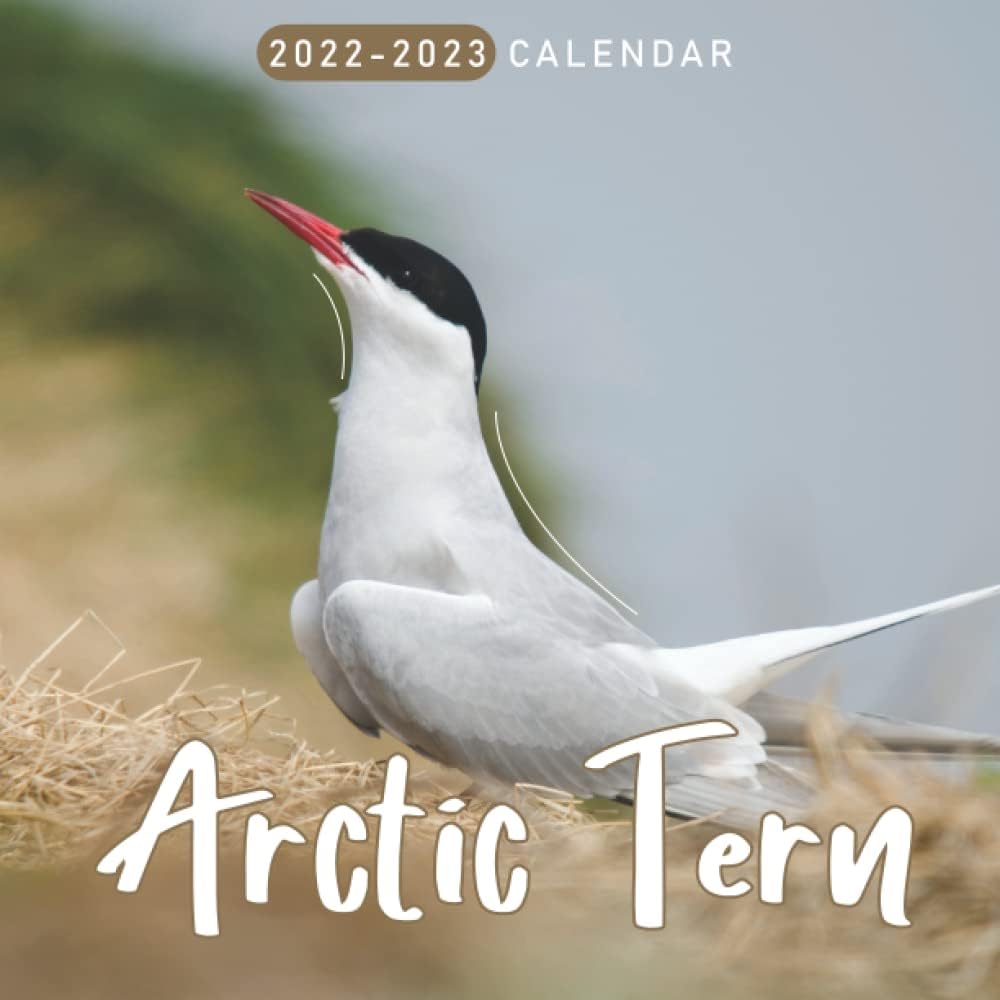 Arctic Tern Calendar 2022 2023 Great 24 Month Calendar All | Desertcart ...