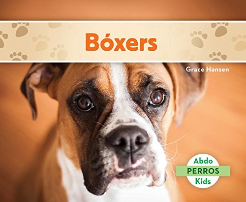 Bóxers / Boxers (Perros / Dogs, 2) : Hansen, Grace: Amazon.in: Books