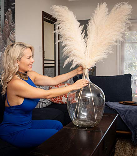 Maya Everett's Amazon Page