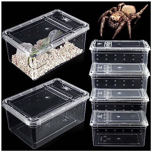 Snapklik.com : 6 Pcs Spider Terrariums Breeding Box Insect Container ...