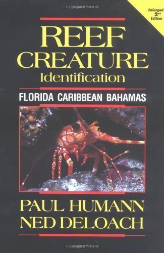 Reef Fish Identification: Florida Caribbean Bahamas by Paul Humann (Oct ...