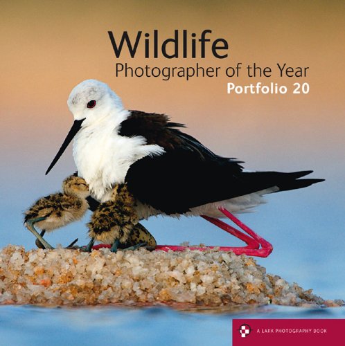 Amazon.com: Wildlife Photographer of the Year: Portfolio 20: ...