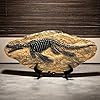 Amazon.com: XINDAM Resin Mosasaurus Dinosaur Fossil Figure Statue Model ...