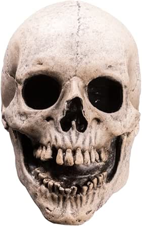 Amazon.com: Trick Or Treat Studios Fear Street 1994 Skull Mask Killer ...