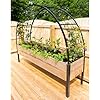 Amazon.com : Gardener’s Supply Company Arch Trellis | Garden Arbor fits ...