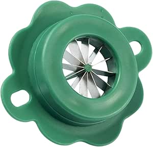 Amazon.com: BA1 Chinese Green Onion Shredder with 12 Shape Stainless ...