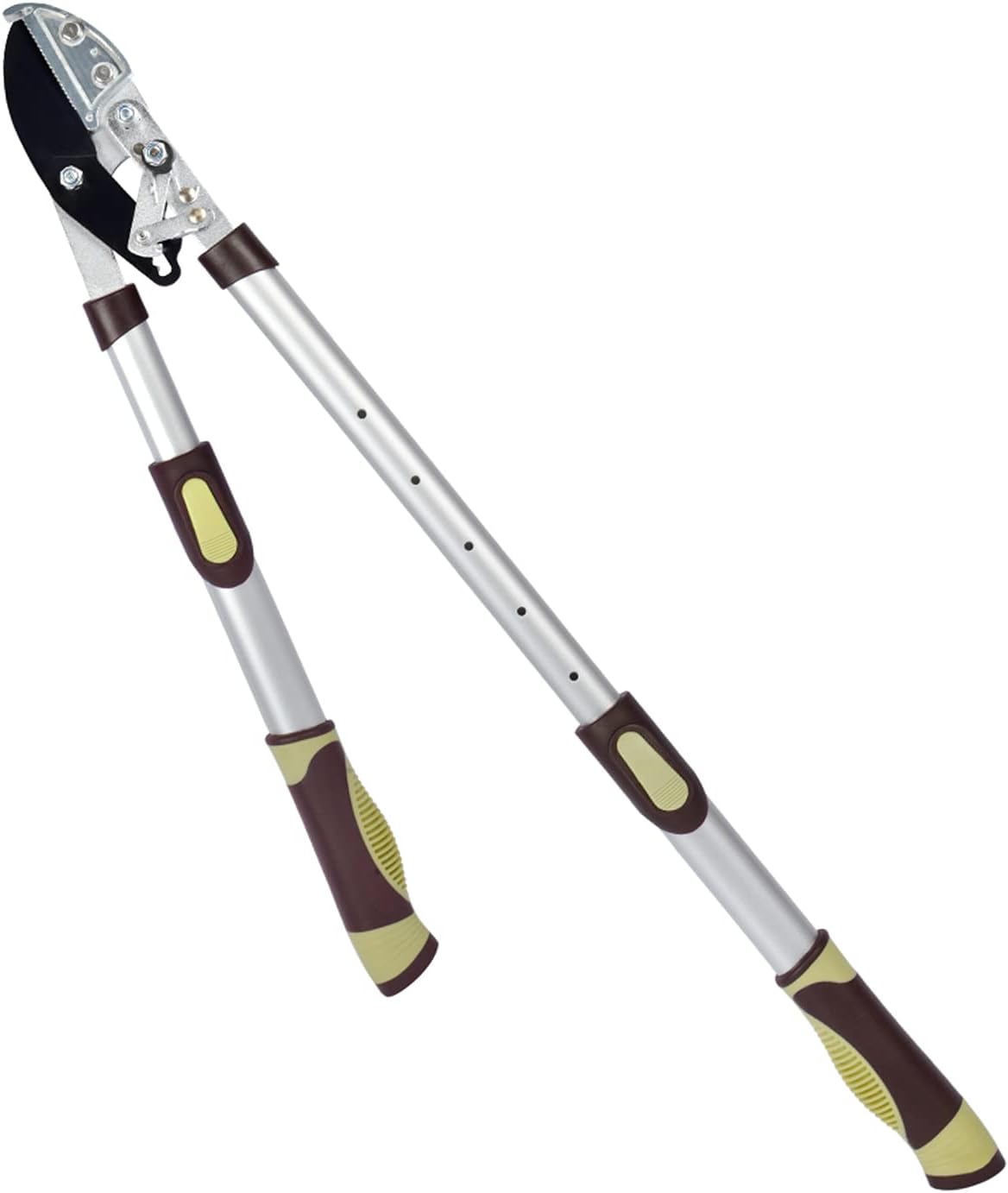 Amazon.com : Garden Adjustable Telescopic Anvil Loppers, 40% Labor ...