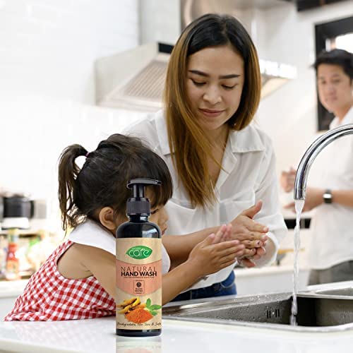 Natural Hand Wash Liquid | 400 ml X 2 | Pack of 2 | Skin Friendly ...