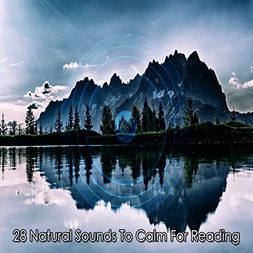 Amazon.co.jp: 28 Natural Sounds To Calm For Reading : 森の音: Digital Music
