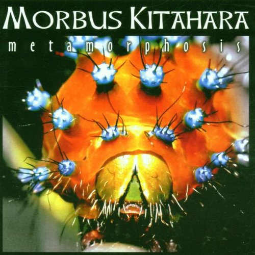 Metmorphis: Morbus Kitahara: Amazon.in: Music}