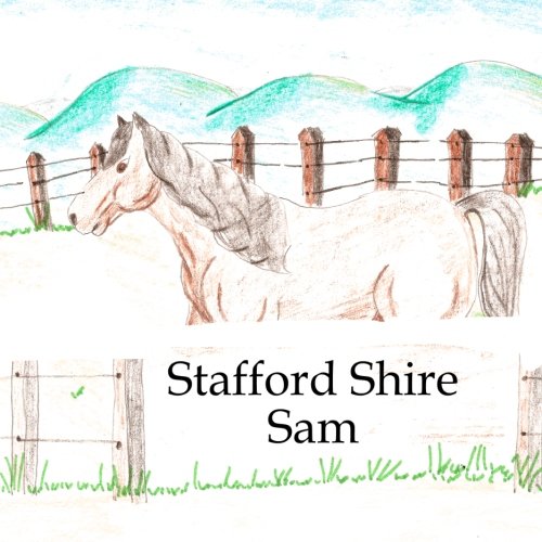 Stafford Shire Sam : Badger, Beverley: Amazon.ca: Books