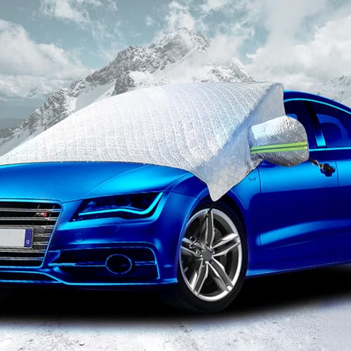 Auto Abdeckplane Winter