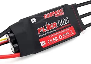 Amazon.com: Surpass Hobby Flier 60A 80A 100A Brushless ESC Speed ...