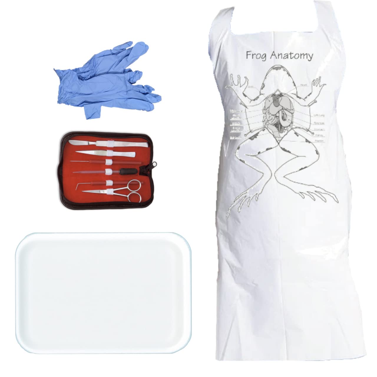 Anatomy Lab Dissection Kit with Scalpel Dissecting Tools PPE for ...