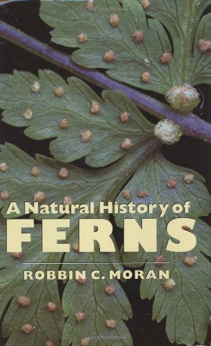 Buy Natural History of Ferns Book Online at Low Prices in India ...