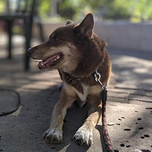 Play Paragon of Empathy by Max Groof on Amazon Music