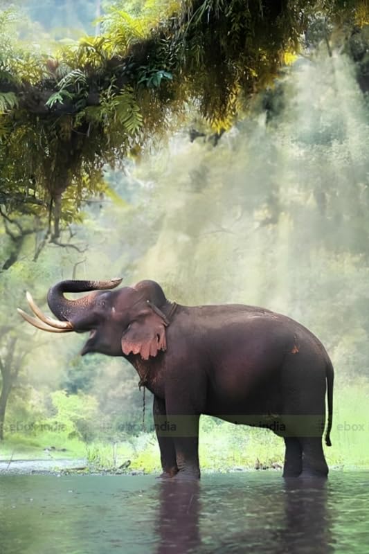 Poster of Elephant, Elephant Posters for Room Wall Decortation, Size ...