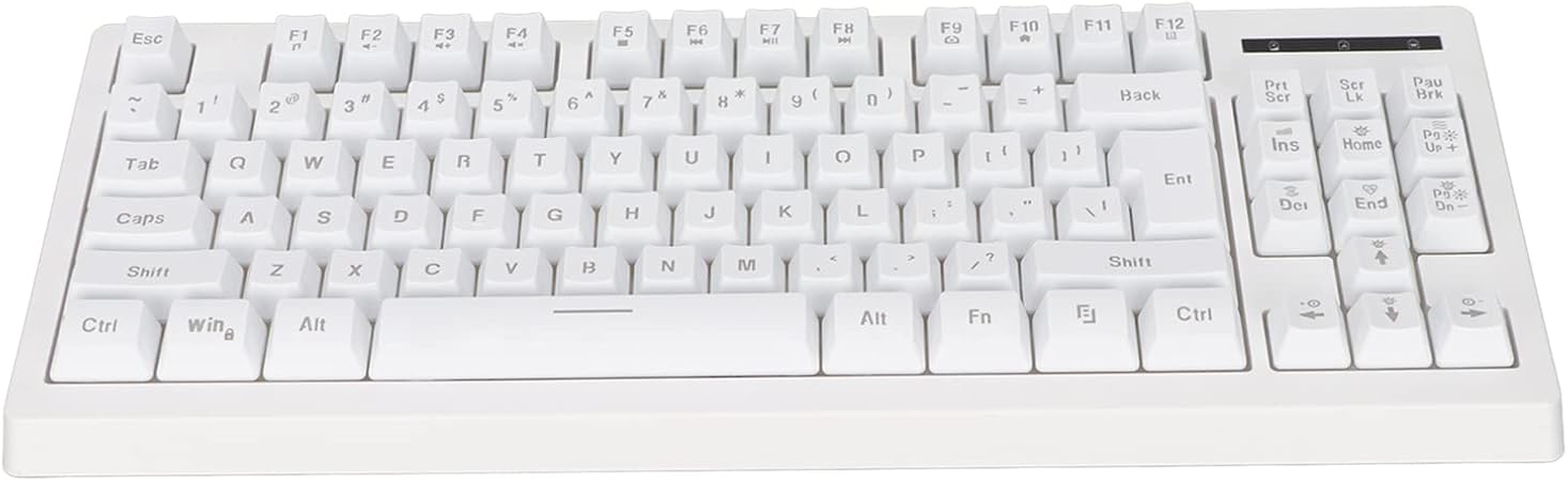 Bewinner RGB Wireless Mechanical Gaming Keyboard, 87 Keys LED Backlit ...