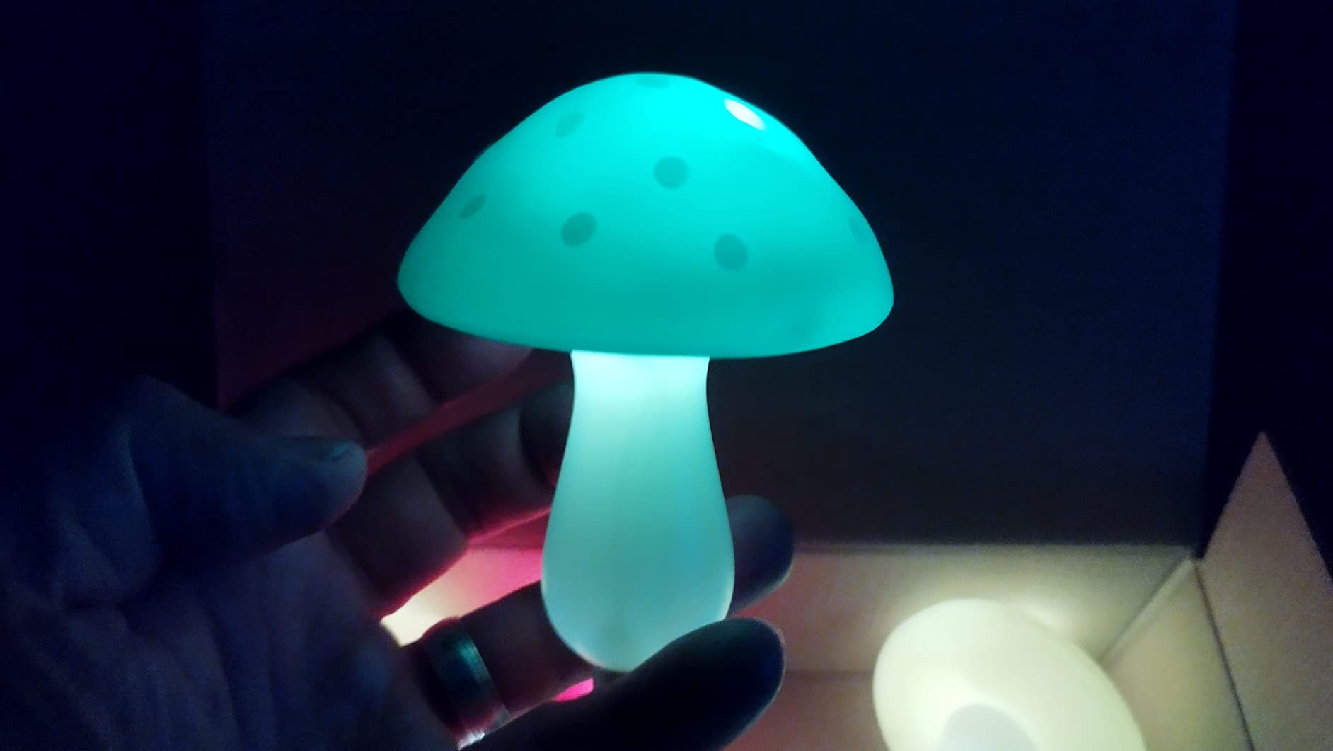 Solar Lights Outdoor Garden, Set of 8 Mushroom Solar Powered Garden ...