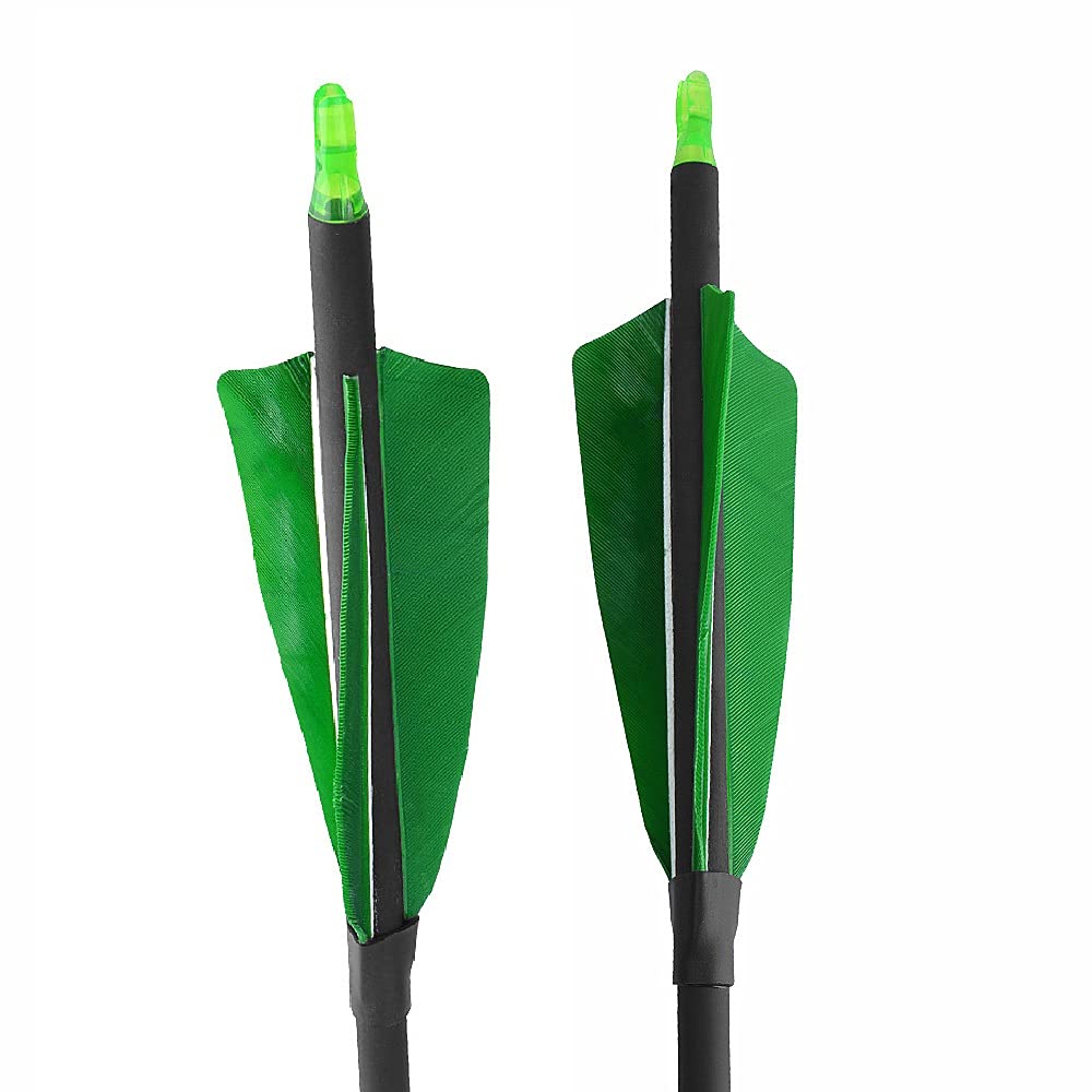 Arco Compound SHARROW 32" Freccia In Carbonio Spine 500 Frecce Da Per ...