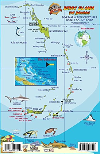 Berry Islands Bahamas Map & Reef Creatures Guide Franko Maps Laminated ...