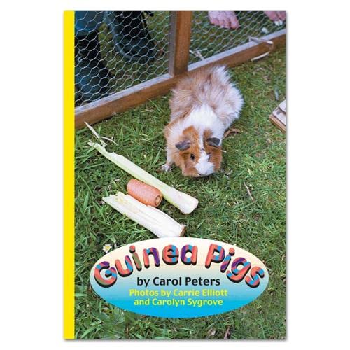 RAINBOW READING GUINEA PIGS (Rainbow Reading Yellow) : Various: Amazon ...