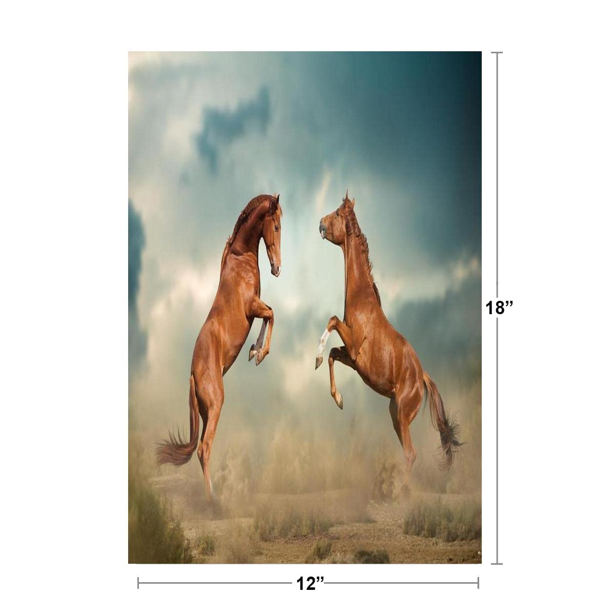Caballo Salvaje Saltando