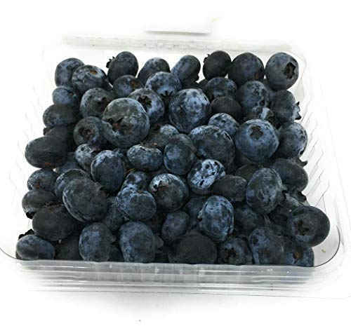 Amazon.com: Berry Blueberries Conventional, 18 Ounce : Grocery ...