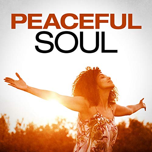 Amazon.com: Peaceful Soul : VARIOUS ARTISTS: Digital Music