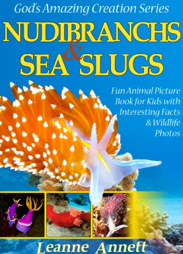 Nudibranchs & Sea Slugs! Kids Book About Colorful Marine Life: Fun ...