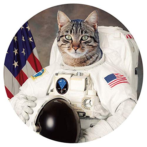 Nasa Cat