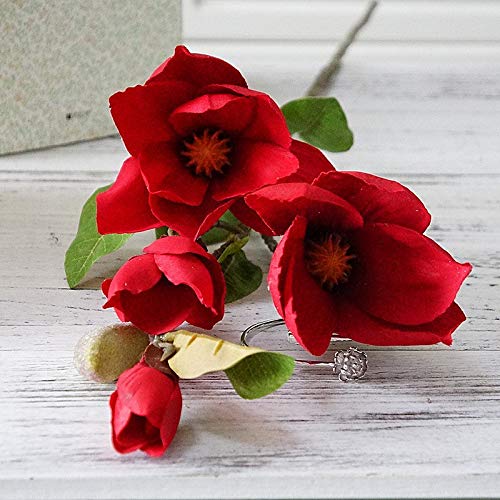 Red Magnolia Flower Pictures