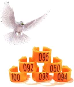 Plastic Bird ID Clip Ring, Poultry Tag Identification Foot Strap for ...