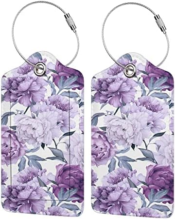 Amazon.com: BLOCIT 2 Pack PU Leather Luggage Tags with Privacy Cover & Stainless Steel Loop, ID ...