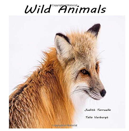 Wild Animals: Tarruella, Judith, Verburgt, Talia: 9781974152070: Amazon ...