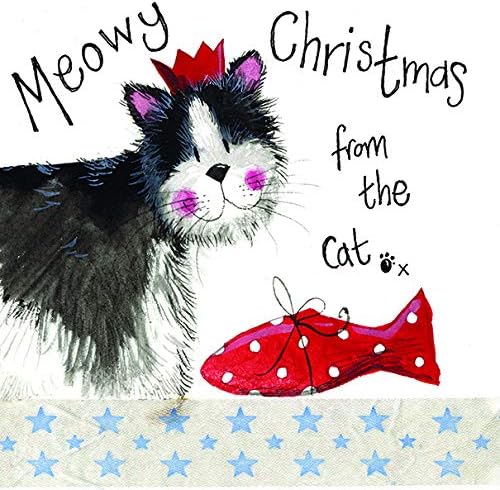 Alex Clark from the Cat Christmas Card : Amazon.co.uk: Stationery ...