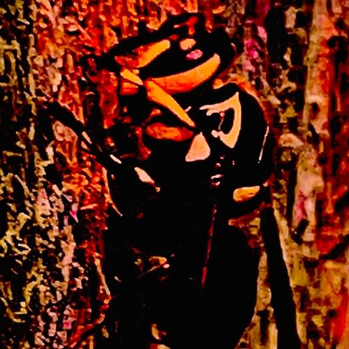 Amazon.co.jp: The Sun has Fallen [Explicit] : Quentin Pence: Digital Music