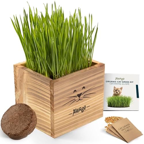 Amazon.com : The Cat Ladies Hydroponic Cat Grass Growing Kit - Pet ...