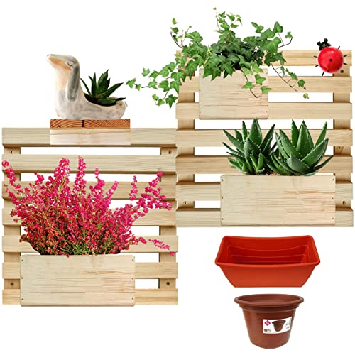 Maceteros decorativos para plantas