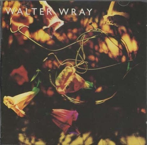 Walter Wray - Foxgloves & Steel Strings - Amazon.com Music