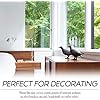 Amazon.com: NACH Cast Iron Crow Statue, Head Down Raven, Large Garden ...