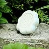 Amazon.com : Ceramic Thumb Watering Can ASMR, Rain Cloud Watering Bell ...