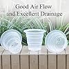 Amazon.com: Meshpot 4 Inch Clear Plastic Orchid Pots with Holes - 6 ...