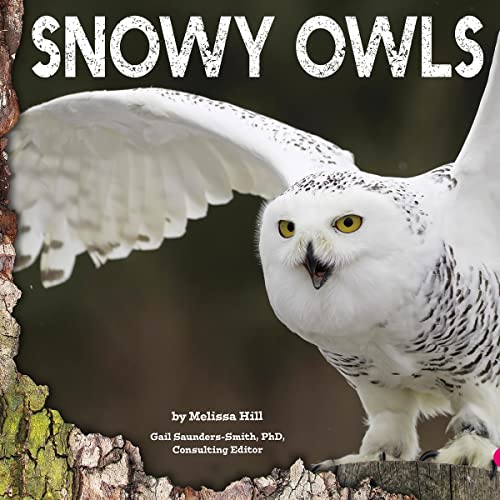 Amazon.com: Snowy Owls (Audible Audio Edition): Gail Saunders-Smith ...
