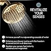 Amazon.com: ShowerMaxx, Luxury Spa Series: ImperialShine Gold Rain ...