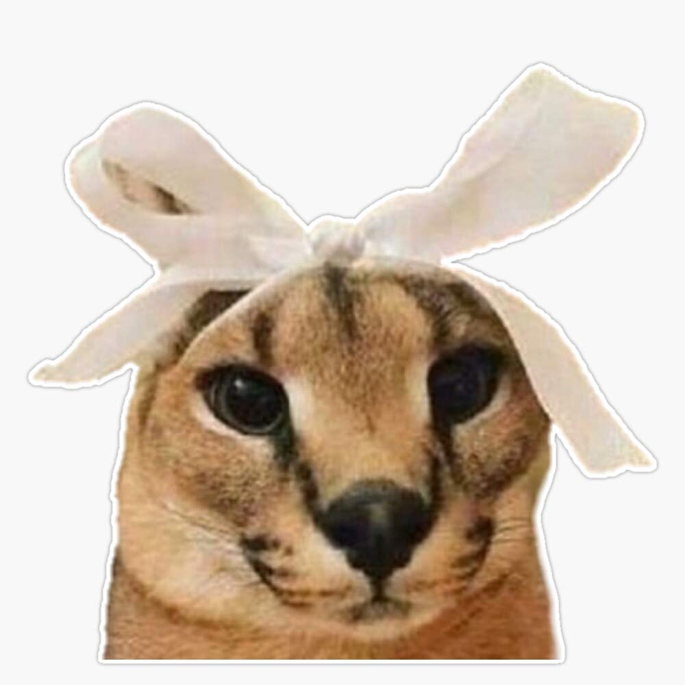 Amazon.com: Leyland Designs Floppa Big Floppa Bow Tie Sticker Outdoor ...